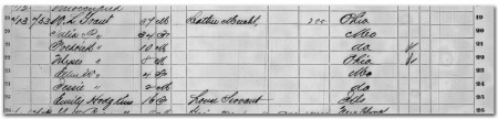 1860 Census – Pieces of History