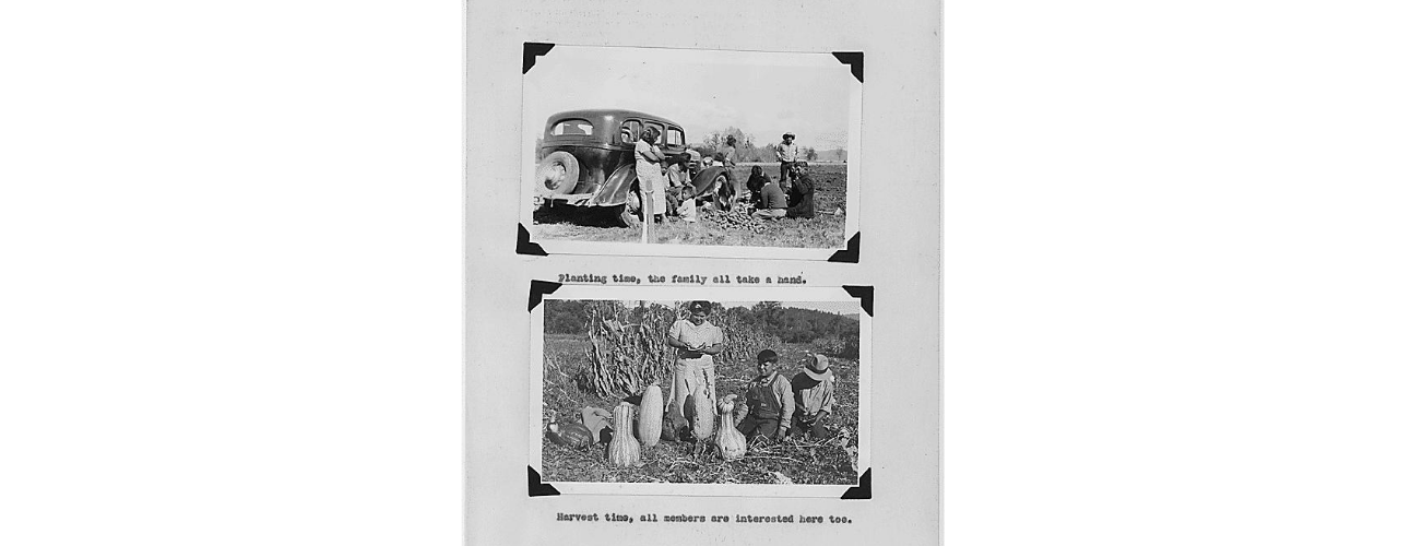 native american family planting and harvesting – Pieces of History